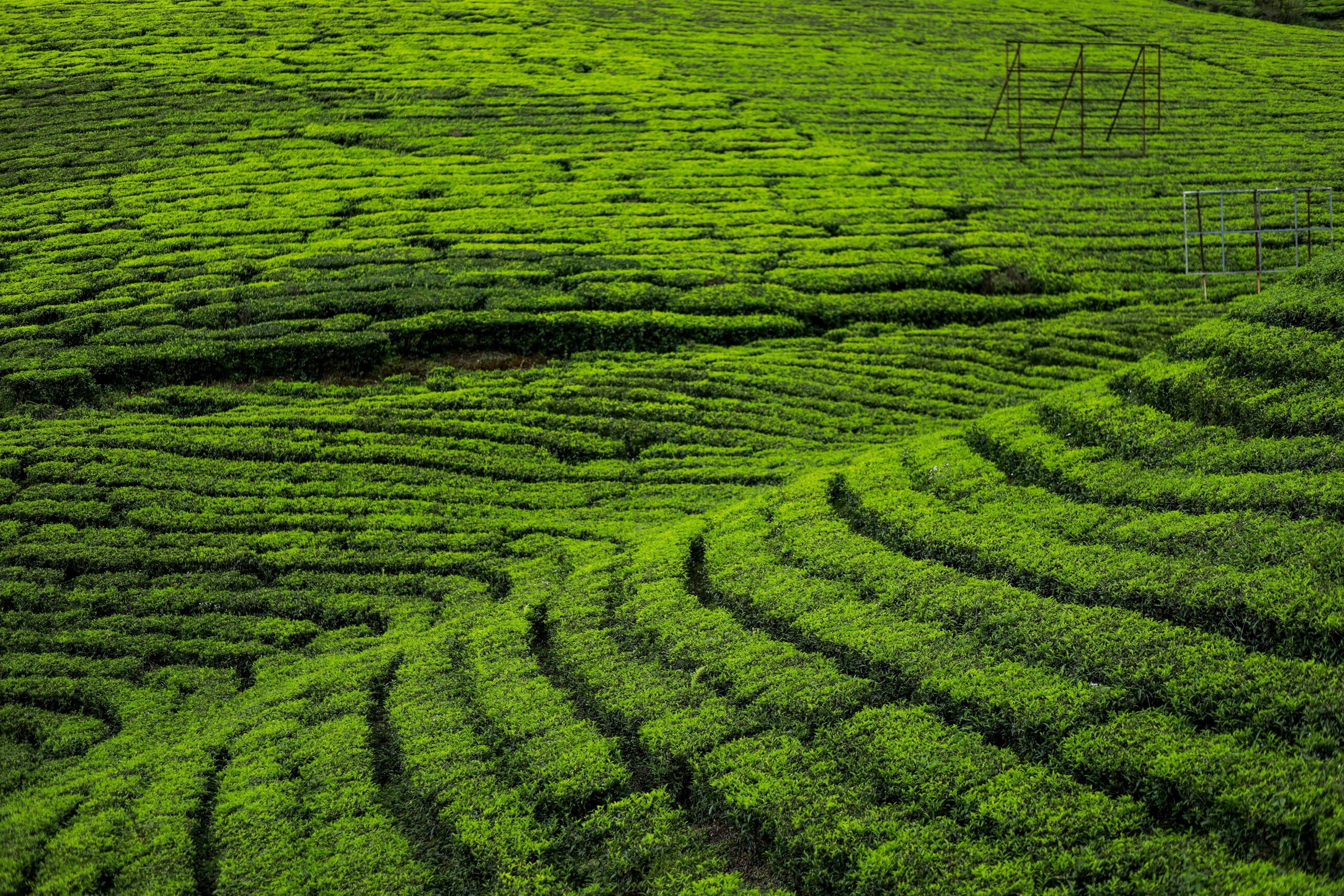 South Asia Regional Hub - Strong Cities Network