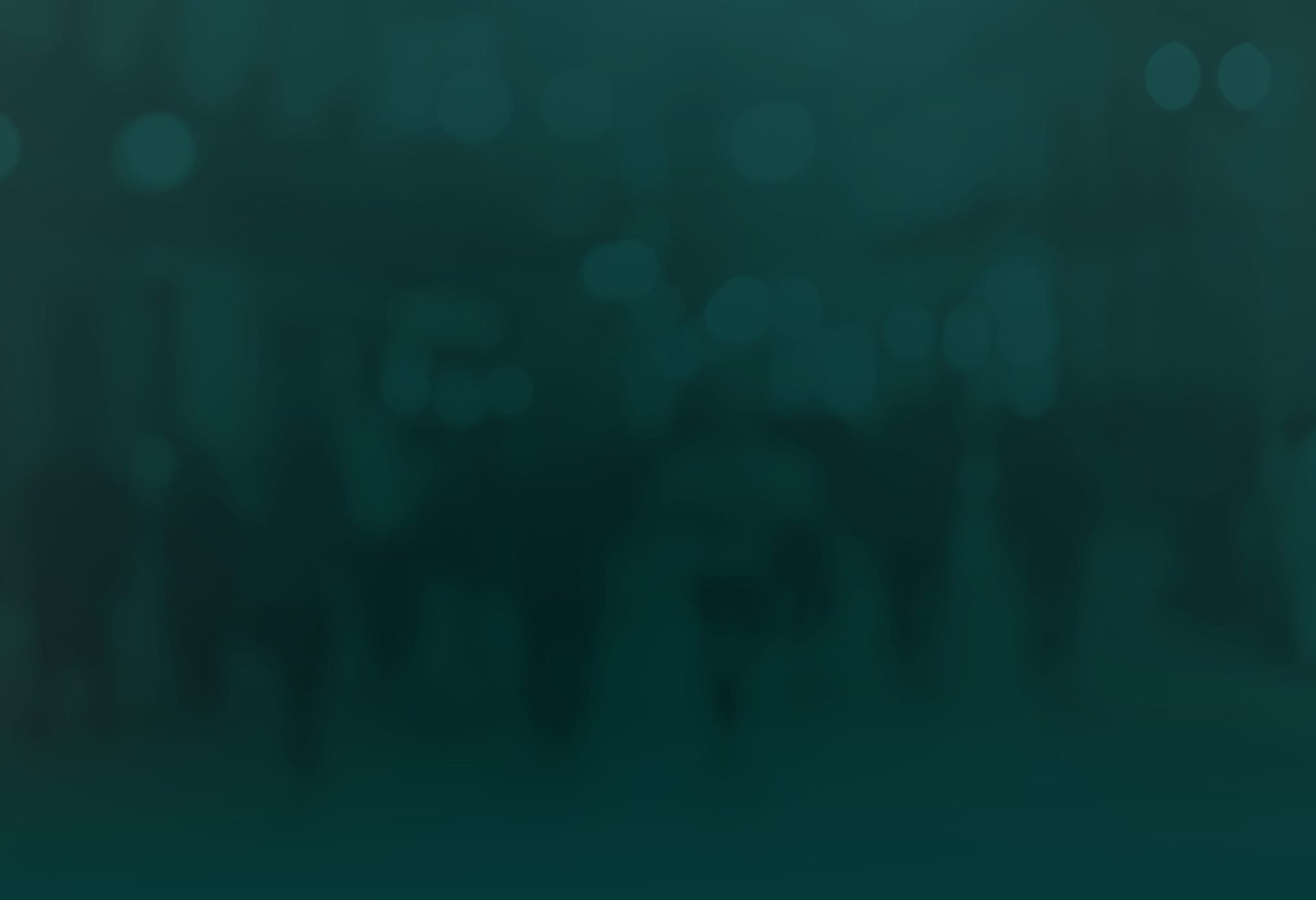 About us - Strong Cities Network