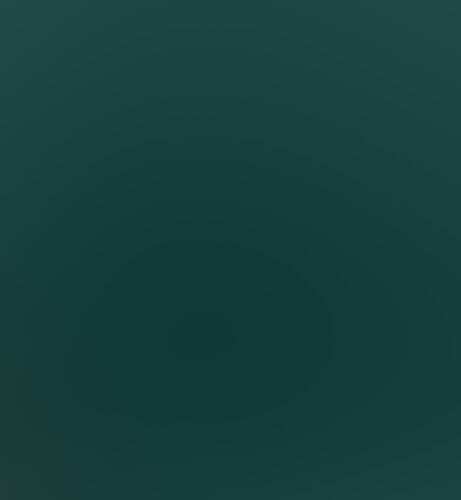 Our Structure - Strong Cities Network