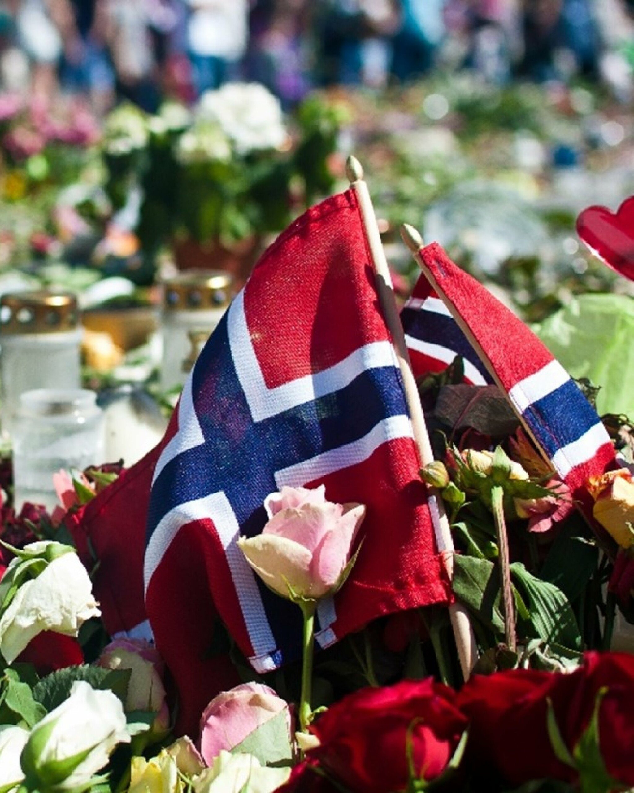 A Guide For City-Led Response - Page 4 of 8 - Strong Cities Network