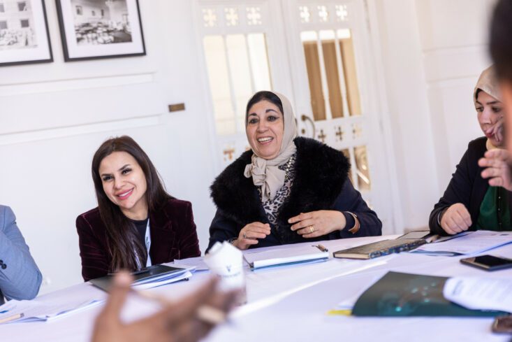 Multi-Actor Frameworks - Strong Cities Network