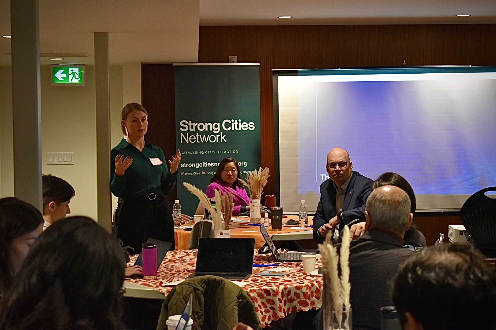 North America Regional Hub: Strengthening Community Cohesion and ...